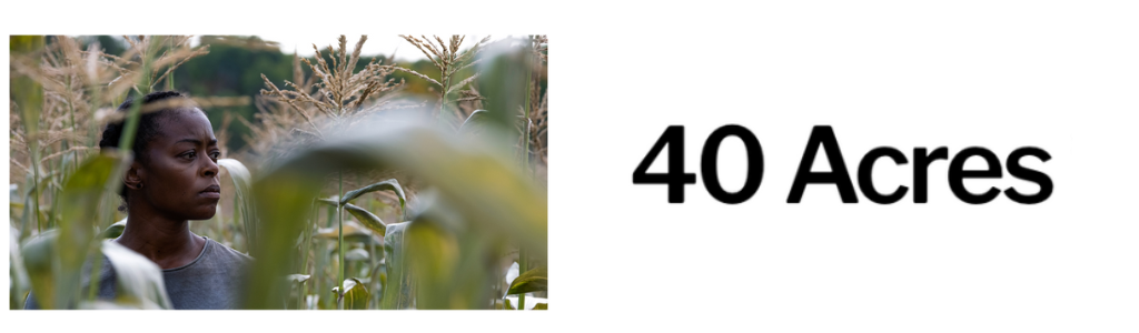 TFS Alumni & Faculty Shine at TIFF 2024 with Multiple Award-Worthy Projects