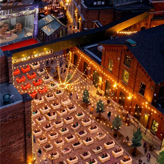 TFS Grad Credits Italian Contemporary Film Fest with Helping Her Find ...